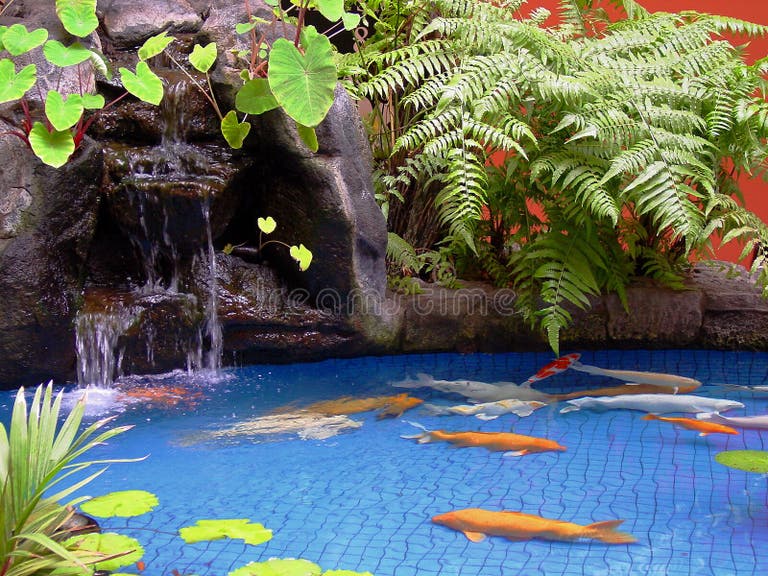 1,381 Koi Pond Waterfall Stock Photos - Free & Royalty-Free Stock ...