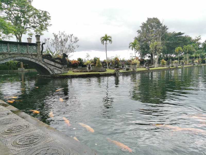 Koi Pond View in Tirta Gangga Bali Stock Image - Image of canal, boat ...