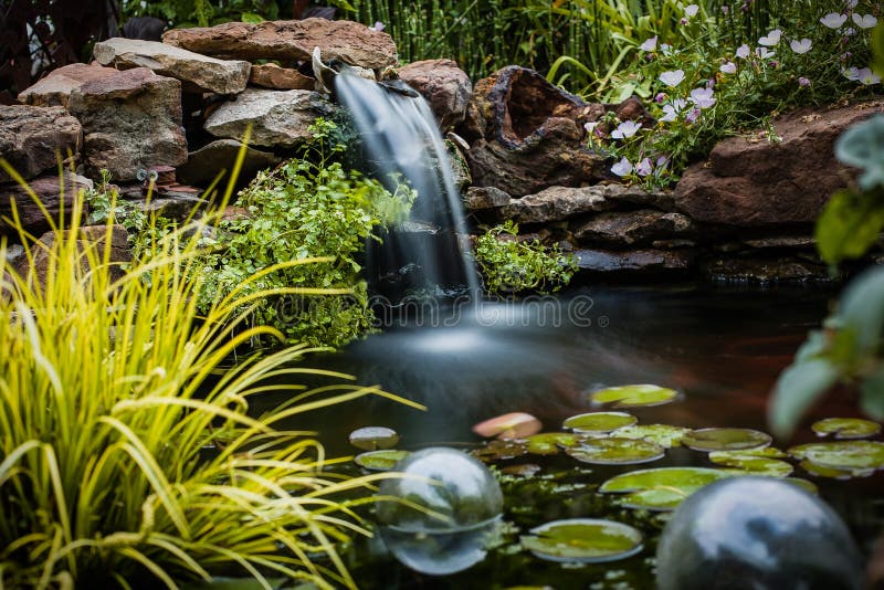 Koi Pond with Waterfall stock photo. Image of waterfall - 107826882