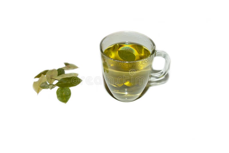 Blatt der Koka stockbild. Bild von koka, blatt - 12862909