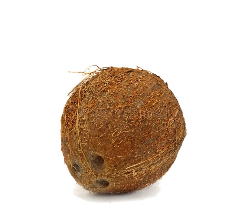 Kokosnoot stock afbeelding. Image of voedsel, vegetariër - 16091865