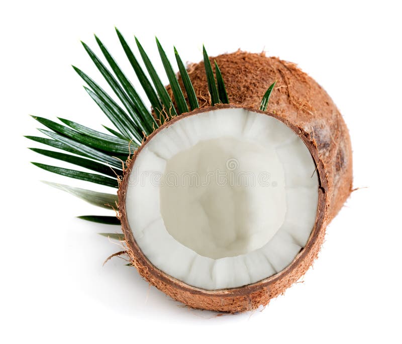 Kokosnoot stock foto. Image of volledig, nave, geïsoleerd - 50621886