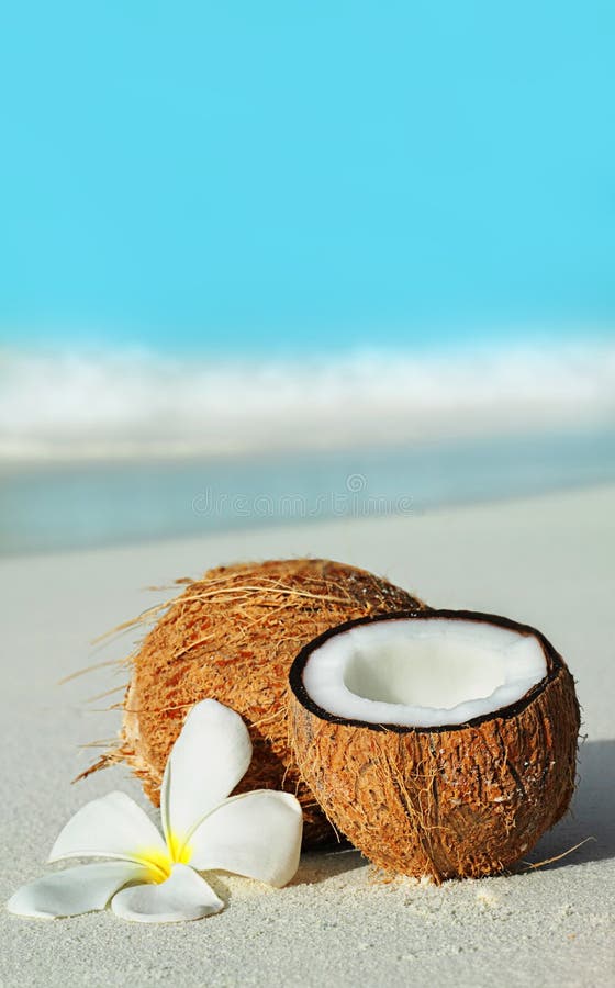 Kokosnoot stock foto. Image of overzees, voedsel, tropisch - 8941564