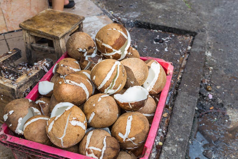 Kokosnoten in mand stock afbeelding. Image of gezond - 64080751