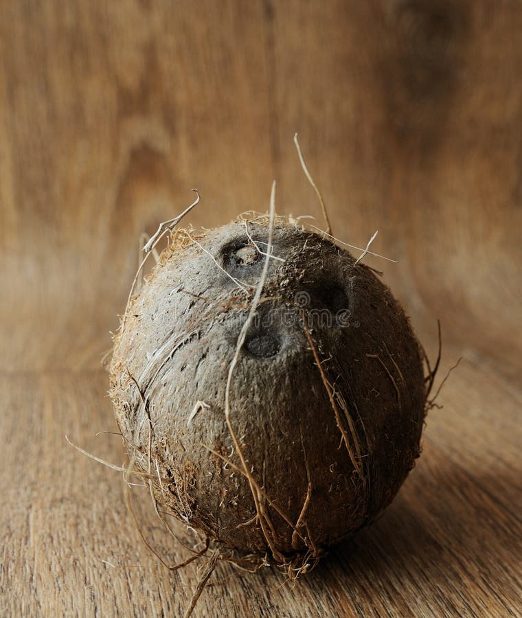 Kokosnuss stockbild. Bild von sahne, kokosnüsse, ordnen - 85718181