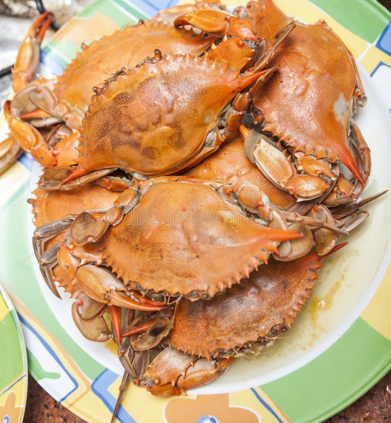 Kokt krabba fotografering för bildbyråer. Bild av askfat - 33866467