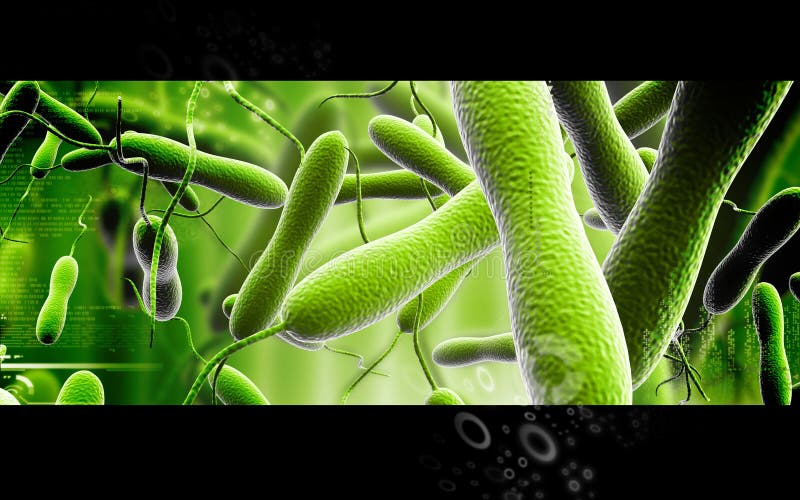 Virus Av Kolera Pathogenic Bakterier Smittsam Sjukdom Mikrobiologitema ...