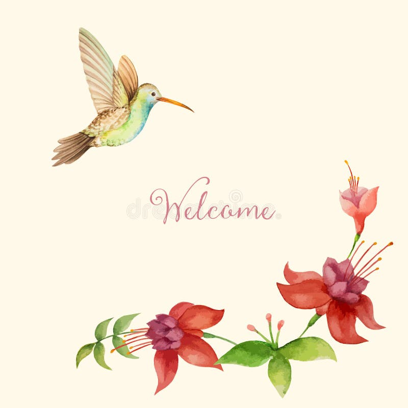 Kolibrie vector illustratie. Illustration of humor, schoonheid - 52154994