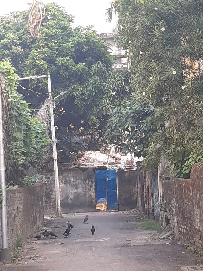 219 Cleaning Neighbourhood Stock Photos - Free & Royalty-Free Stock ...