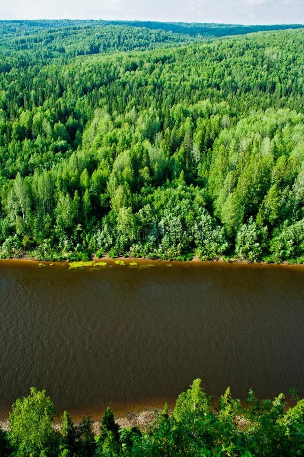 Kolva image stock. Image du russie, sapins, nature, vert - 23512363