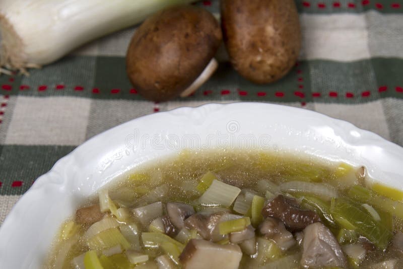 Kom Prei en Champignonsoep stock afbeelding. Image of china - 36478347
