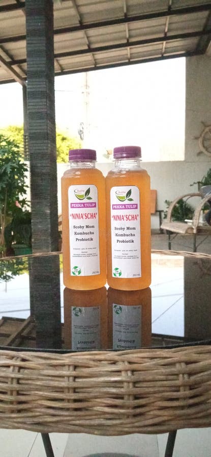 Kombucha, Fermented Healthy Tea Editorial Photography - Image of heal ...