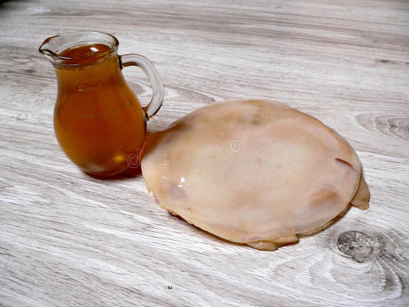 Kombucha stock image. Image of kombucha, probiotic, pozitivnashy - 60483137