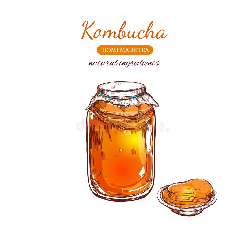 Kombucha Homemade Tea Collection. Vector Hand Drawn Illustration Stock ...