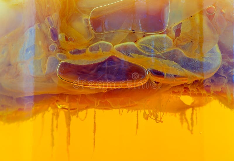 Kombucha Tea Macro Close Up Under the Light Microscope, Magnification ...