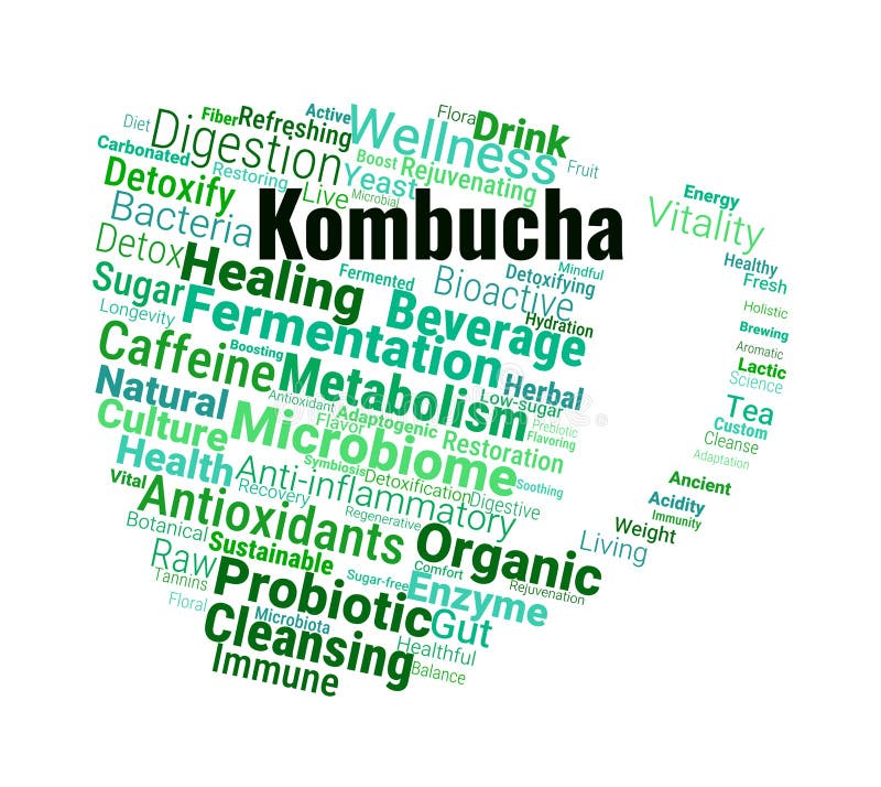 Kombucha Word Cloud stock illustration. Illustration of introduction ...