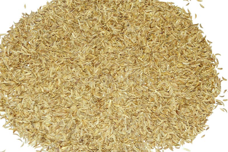 Komijn stock foto. Image of achtergrond, kleur, komijn - 50378210