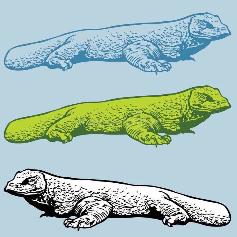 Komodo Dragon Set Stock Illustrations – 228 Komodo Dragon Set Stock ...