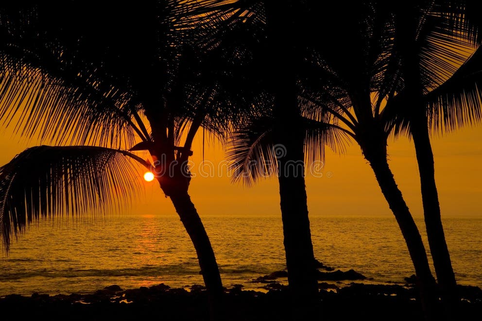 Kona Sunset stock photo. Image of sunset, sunlight, horizon - 2072986