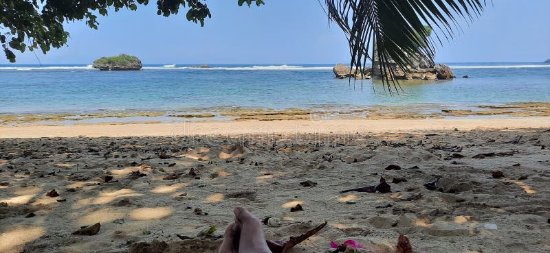 Kondang merak editorial photo. Image of tree, cape, wave - 222008791