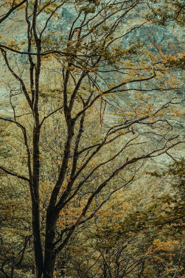 The Summit of the Sharr-mountain Stock Image - Image of mount, roads ...