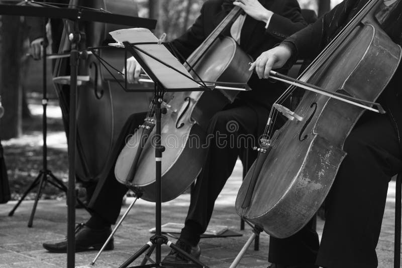 Klassische Musik stockbild. Bild von raum, cello, schön - 48984413