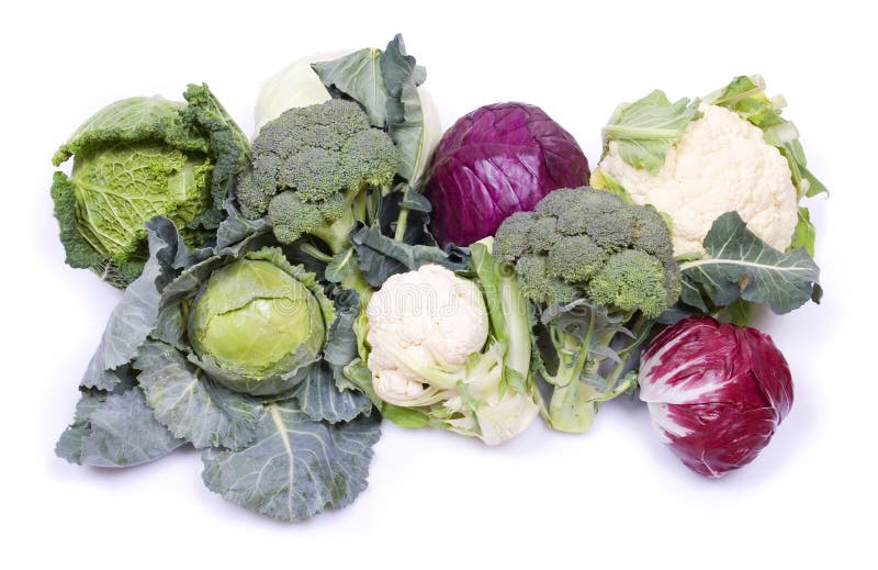 Alle soorten kool stock foto. Image of gezond, voedsel - 8600558