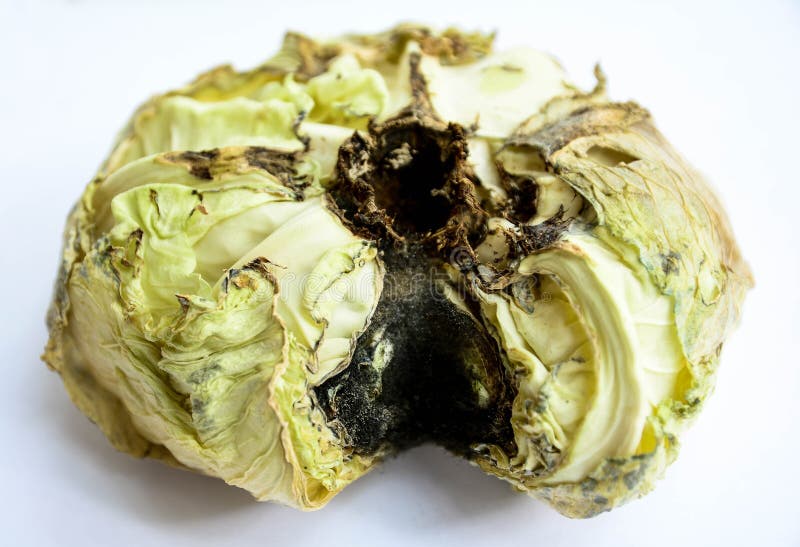 Kool Rotte Groenten Op Witte Achtergronden Stock Foto - Image of kant ...