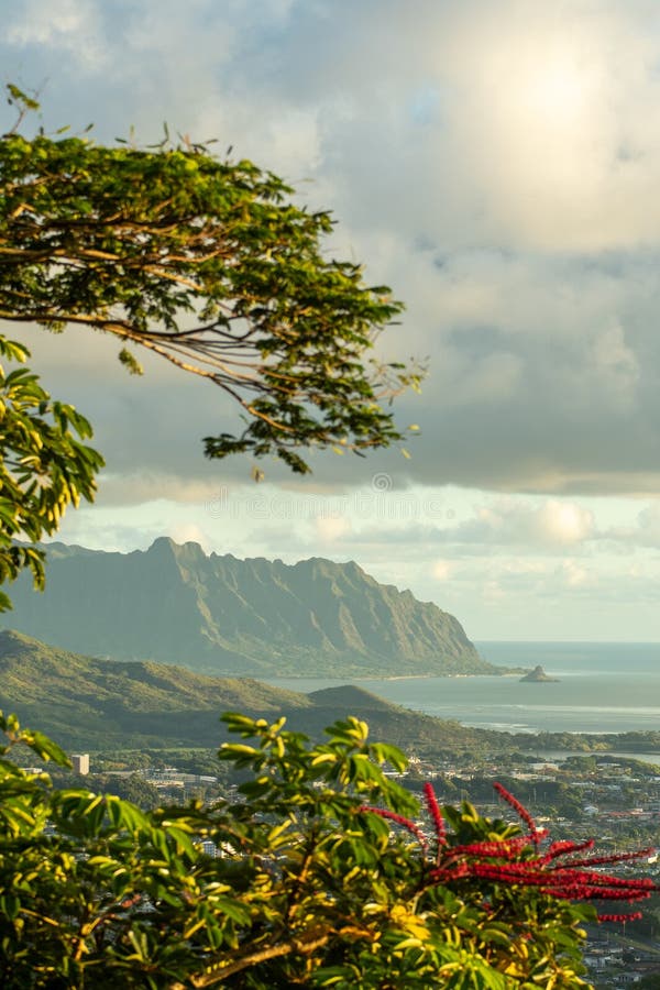 Koolau Mountain Range, Oahu, Hawaii Stock Photo - Image of rock, shield ...