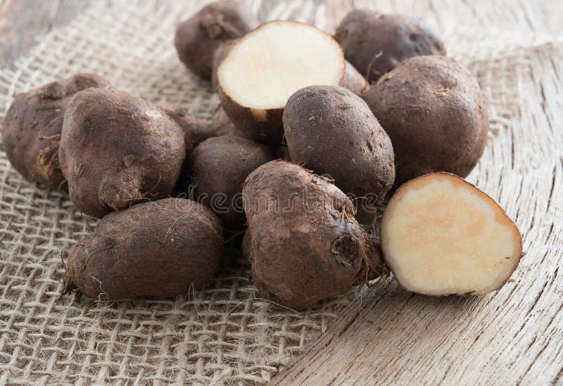 Koorkal Stock Photos - Free & Royalty-Free Stock Photos from Dreamstime