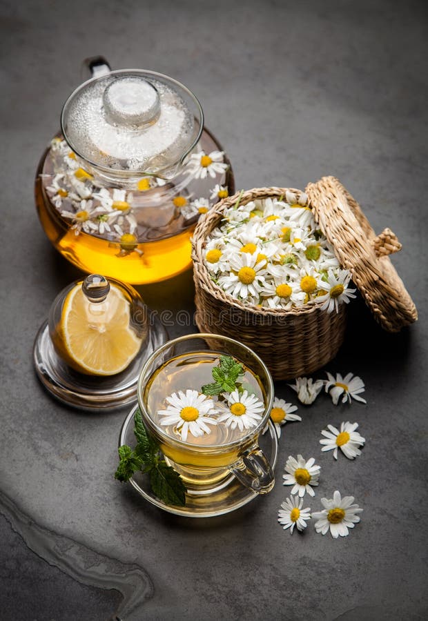 Kopp av kamomillte arkivfoto. Bild av svart, växt, tekopp - 99696738