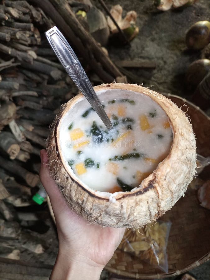 Kopyor coconut ice stock photo. Image of plant, flower - 264682882