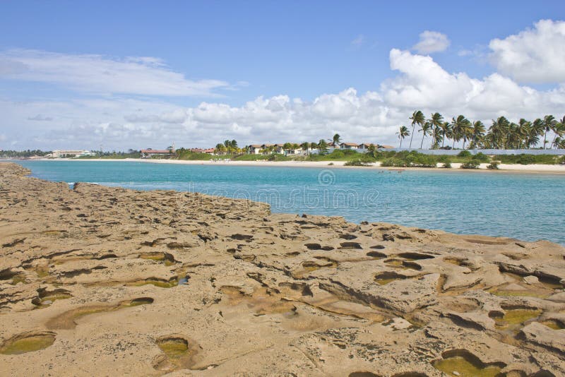 Koraal Bij Porto DE Galinhas Strand Stock Afbeelding - Image of ...