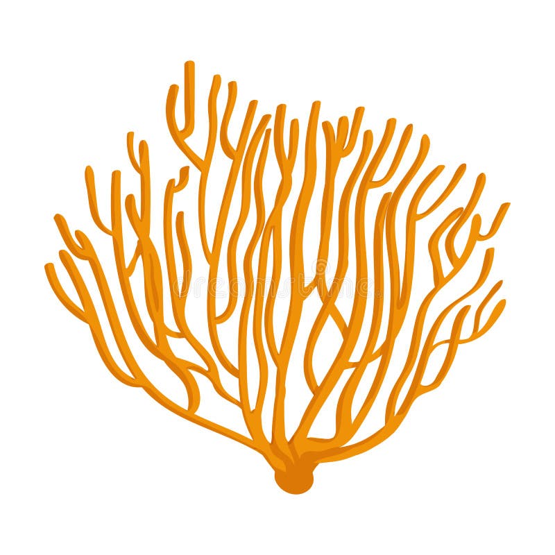 Koraalvectoroverzichtspictogram. Vectorillustratie Rif Van Zee Op Witte ...