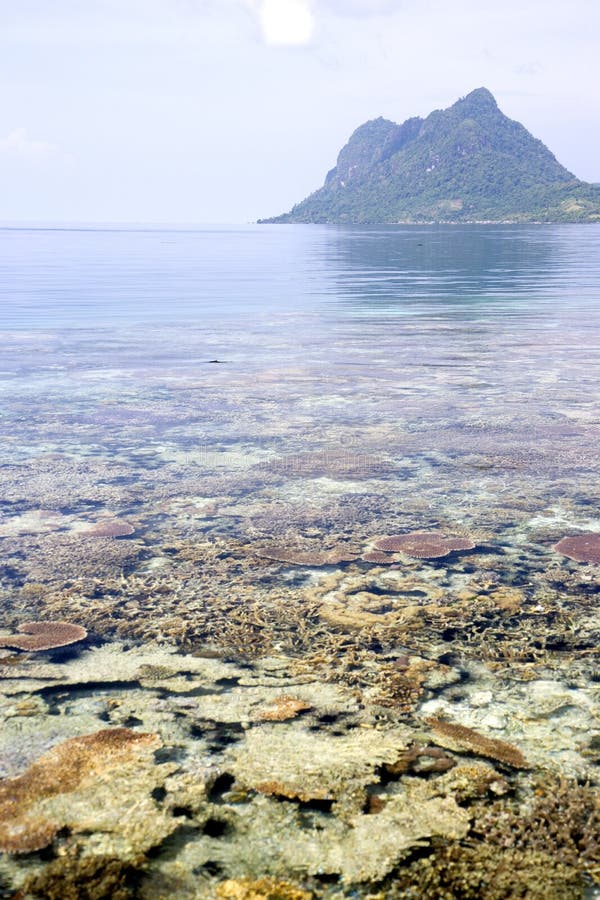 Koraalrif en Eilanden stock afbeelding. Image of strand - 4770653