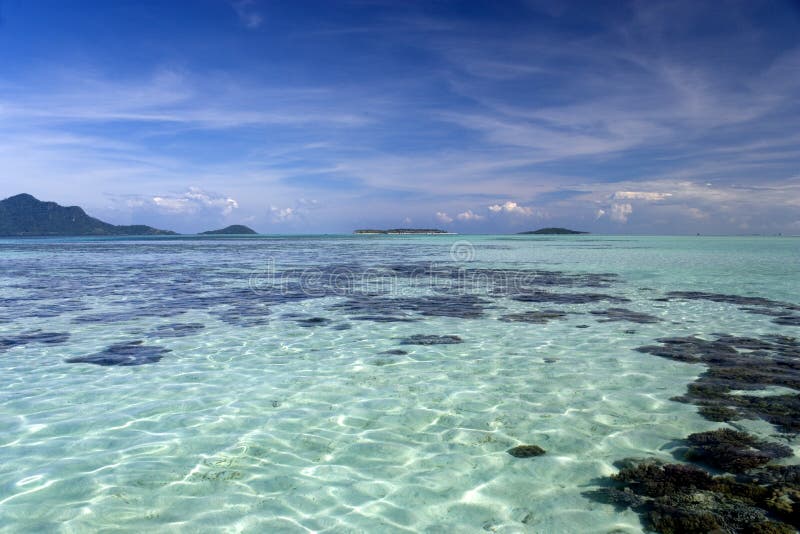 Korallrev I Det Tropiska Havet Fotografering för Bildbyråer - Bild av ...