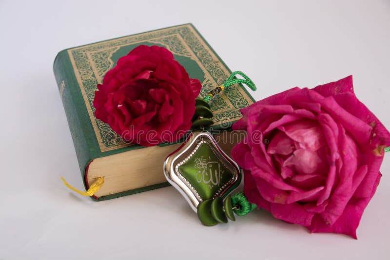 Allah Rose Photos - Free & Royalty-Free Stock Photos from Dreamstime