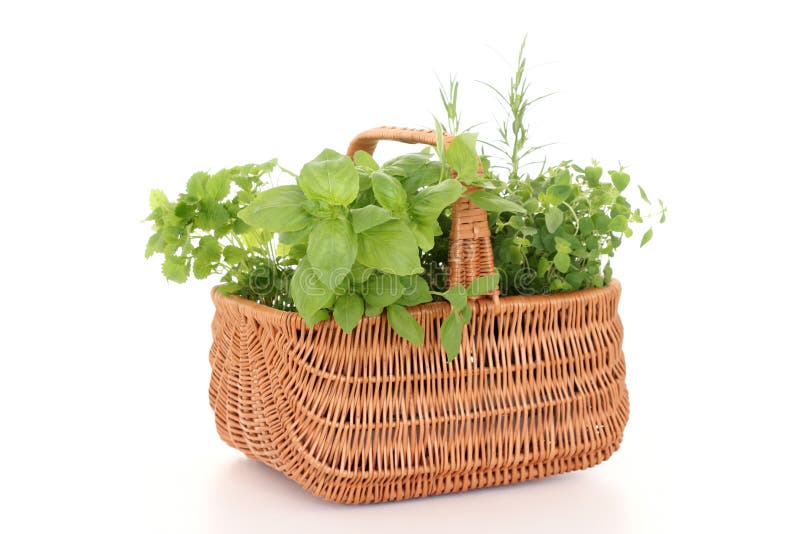 Kräuter in einem Korb stockbild. Bild von nahrung, botanik - 1768773