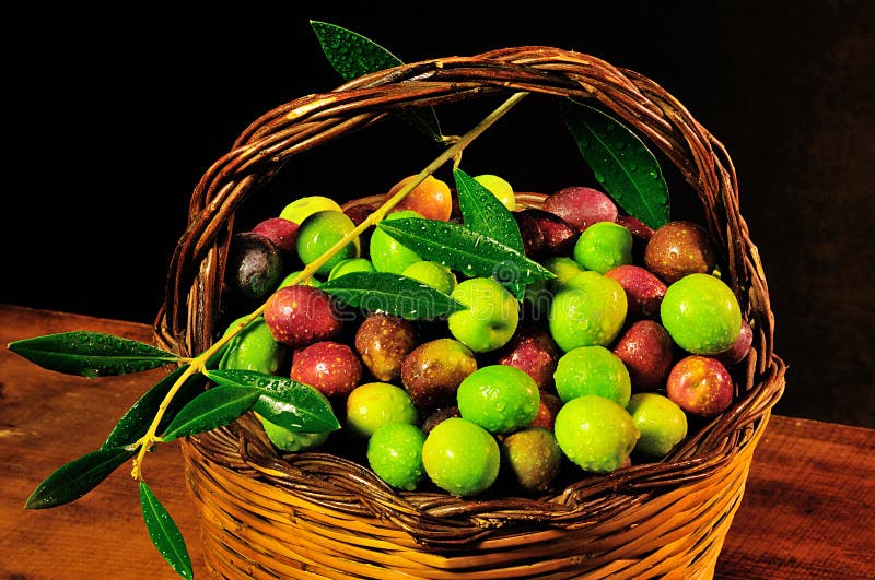 Korb Der Sizilianischen Oliven Stockbild - Bild von kraut, reif: 27456351