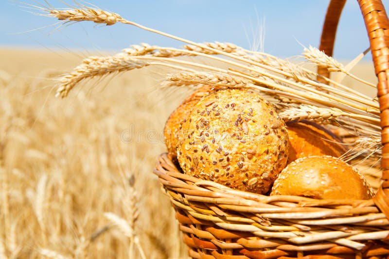 Korb Mit Brot Auf Einem Weizengebiet Stockfoto - Bild von field ...