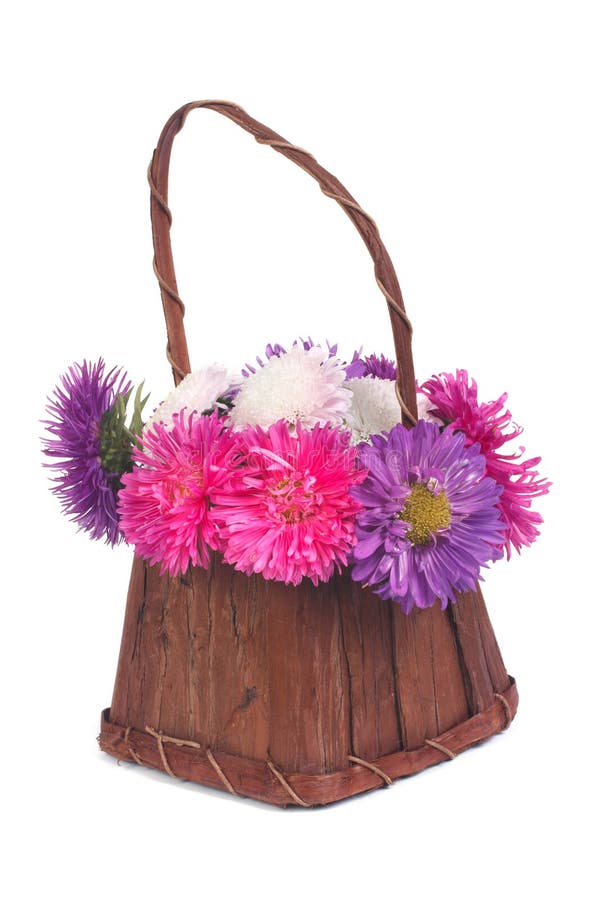 Korb Mit Der Mehrfarbigen Blumenaster Lokalisiert Stockbild - Bild von ...