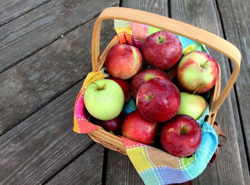 Korb der Äpfel stockfoto. Bild von oktober, gardening - 16908996