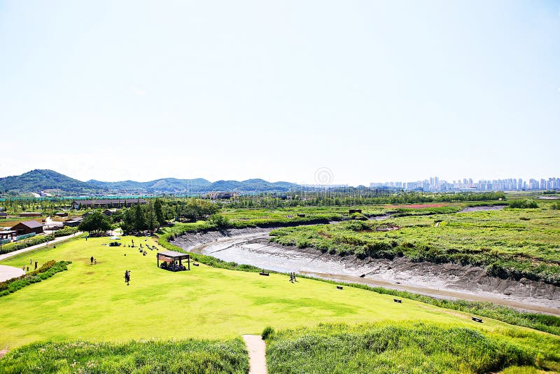 Korea ecological park editorial stock photo. Image of wetland - 216210388