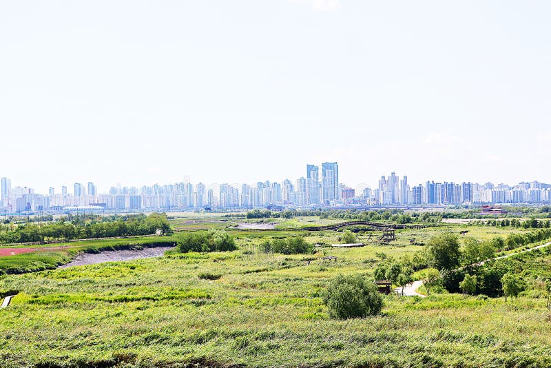 Korea ecological park editorial photography. Image of korea - 216210392