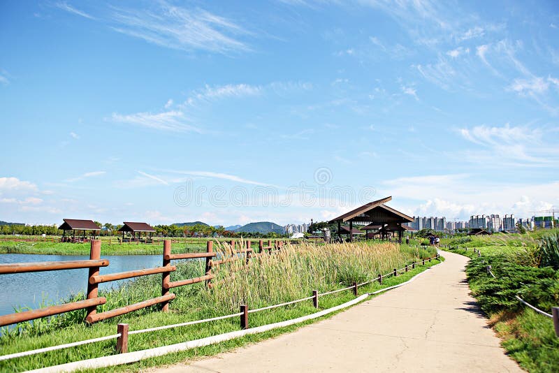 Korea ecological park editorial photo. Image of koreapark - 216210446