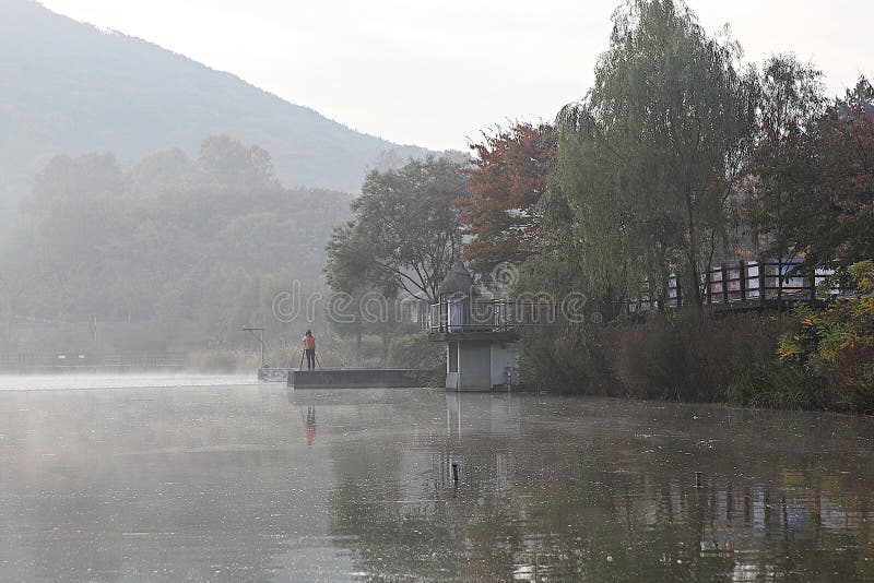 Korea ecological park editorial stock image. Image of nature - 216208659