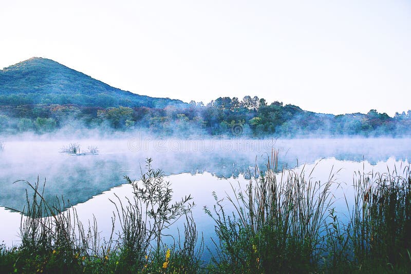 Korea ecological park editorial photography. Image of korea - 216296212
