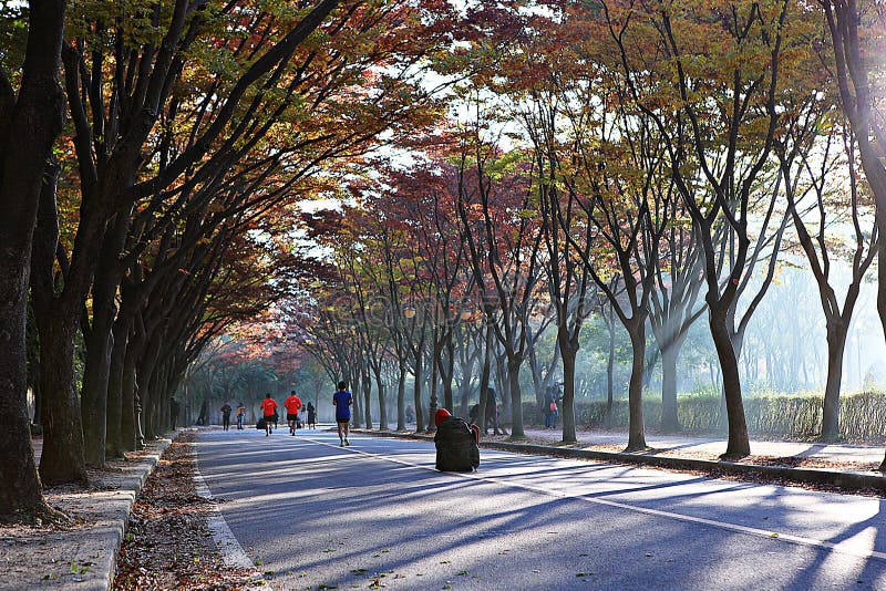Korea ecological park editorial stock image. Image of green - 216296224