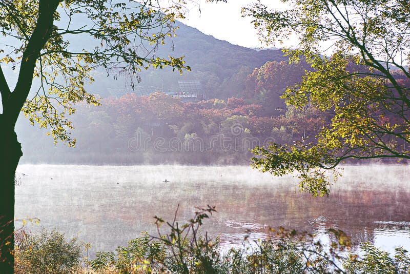 Korea ecological park editorial stock photo. Image of park - 216296233