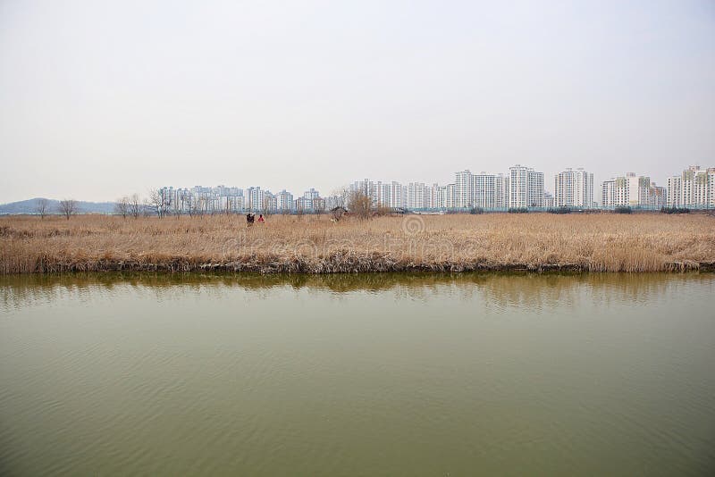 Korea ecological park editorial photography. Image of ecological ...